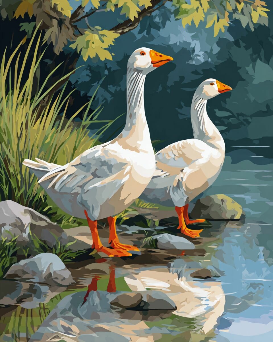 Картина по номерам 40*50 гуси на камнях