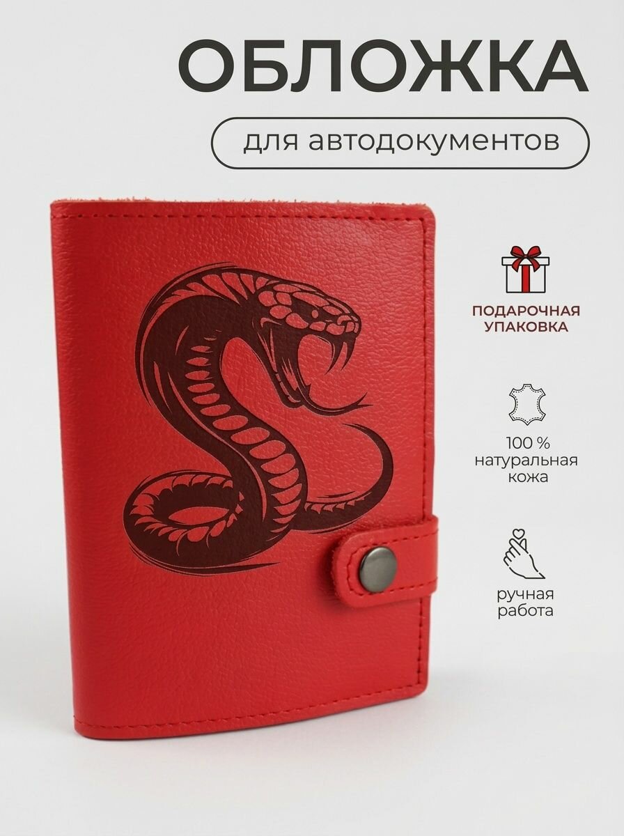 Обложка для автодокументов