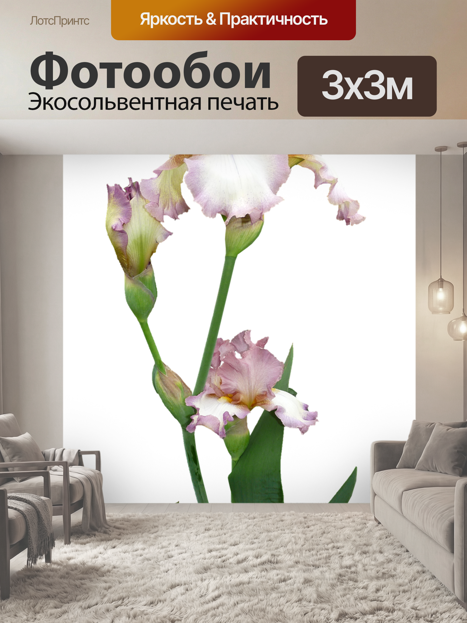 Фотообои "Ирис, завод, цветок" 300x300 см. экосольвентная печать