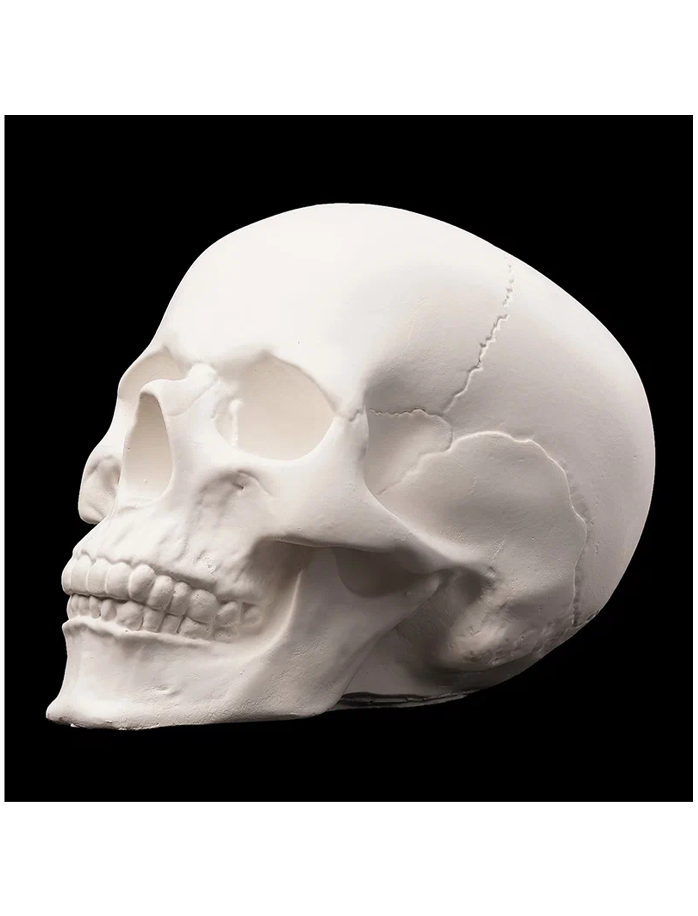 Гипсовая статуэтка MeinV Sculpture "Череп", анатомическая, ручная работа, 16x14.5x21 см