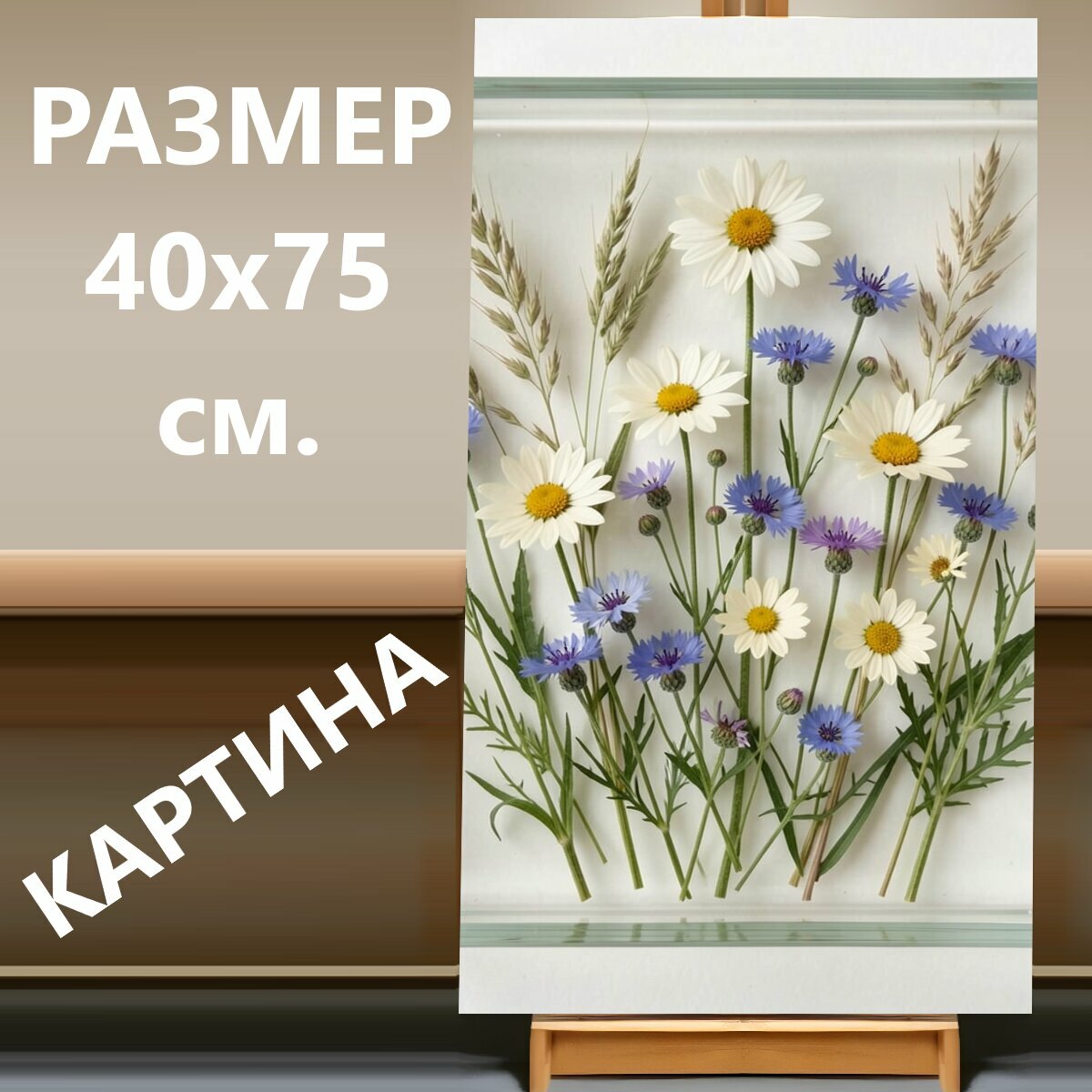 Картина на холсте "Полевые цветы в стеклянной рамке. Нежная ботаническая композиция из ромашек, васильков и злаков под прозрачным стеклом." на подрамнике 75х40 см. для интерьера