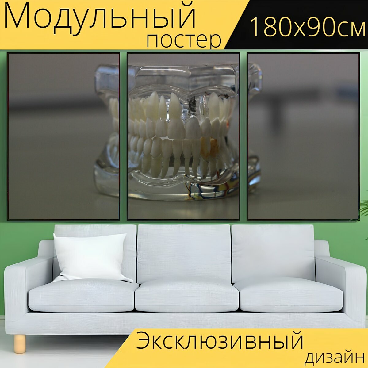 Модульный постер "Стоматология, дентальные, зубы" 180 x 90 см. для интерьера на стену в тубусе