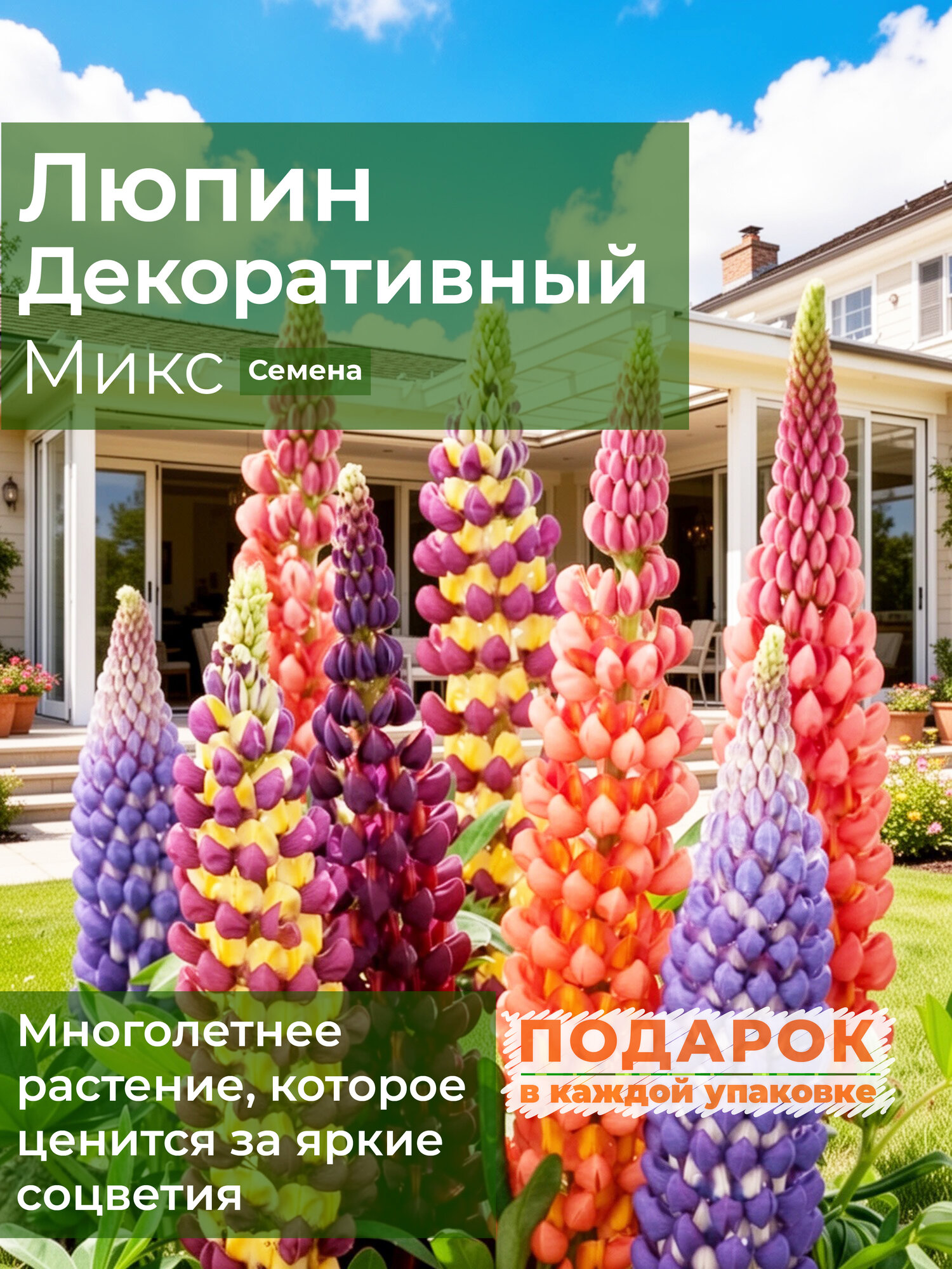 Люпин Декоративный Микс, Семена, 30 шт, семена цветов, многолетник