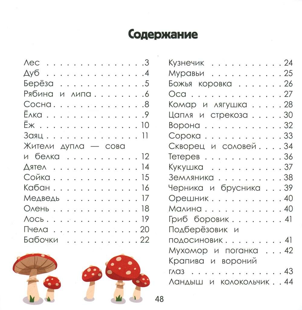Лес: энциклопедия для малышей в картинках. Ульева Е. А. Феникс — фото 1