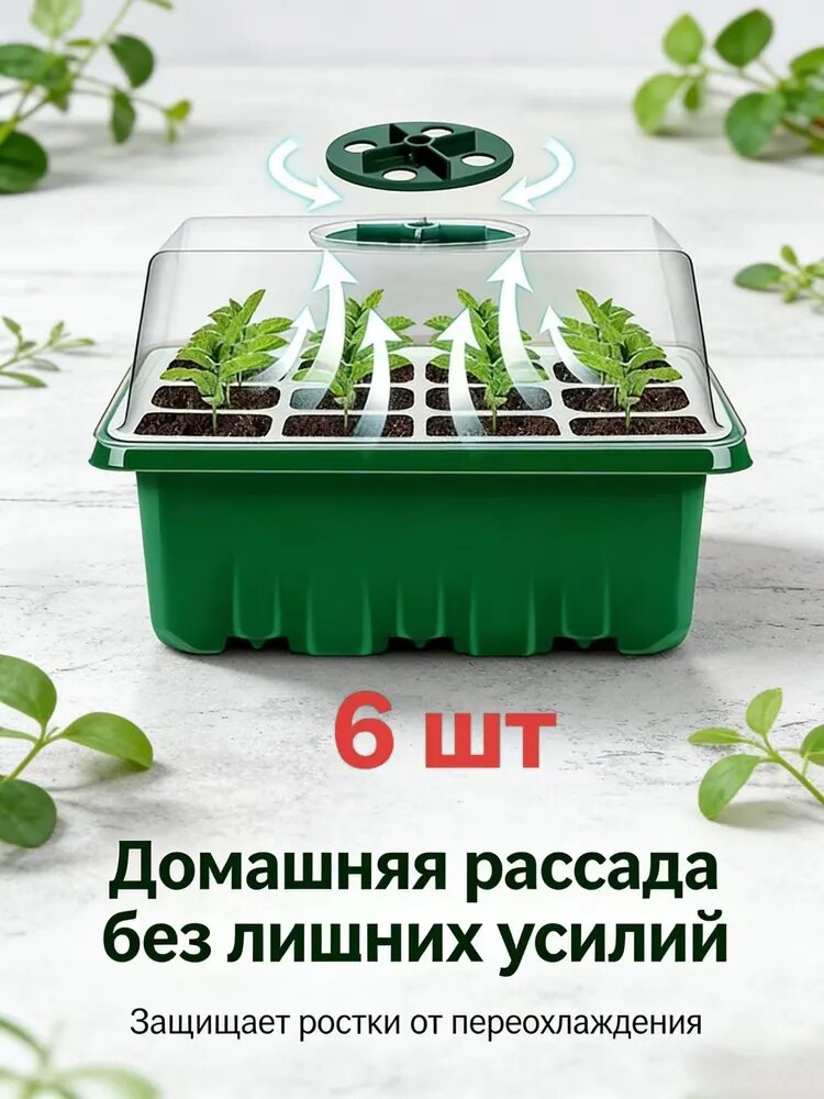 Ящик для рассады