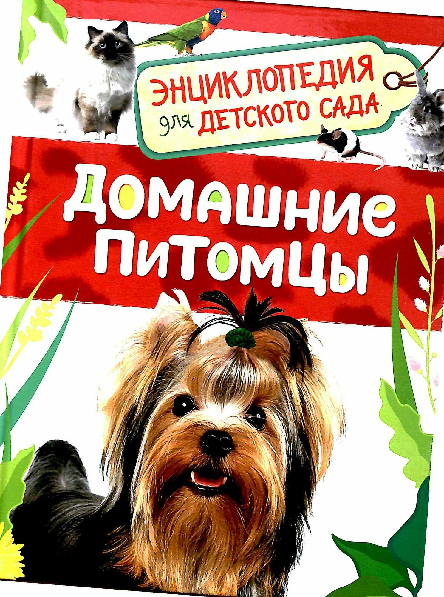 Домашние питомцы (Энциклопедия для детского сада) (Травина И. В.)