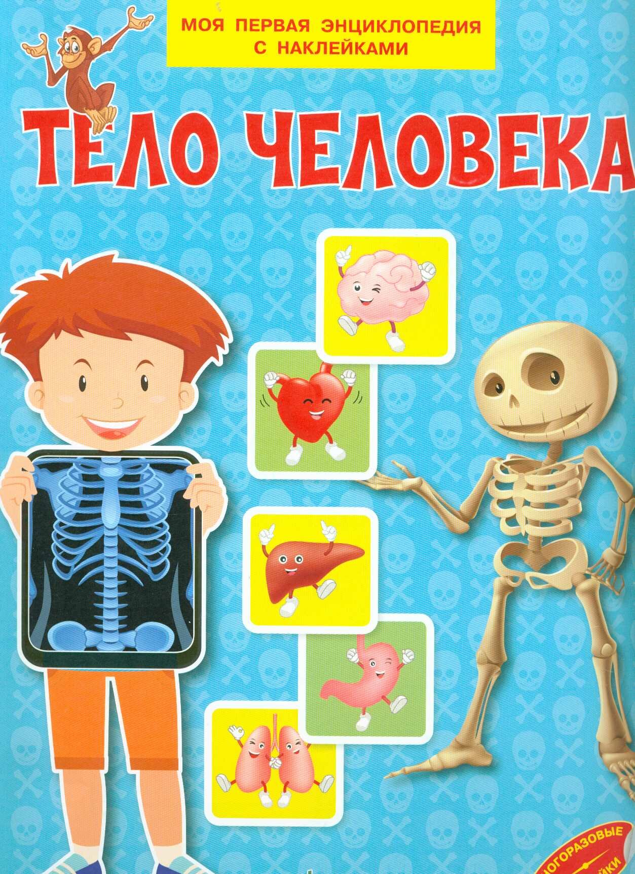 МояПерваяЭнциклопедияСНаклейками Тело человека, (вакоша, 2020)