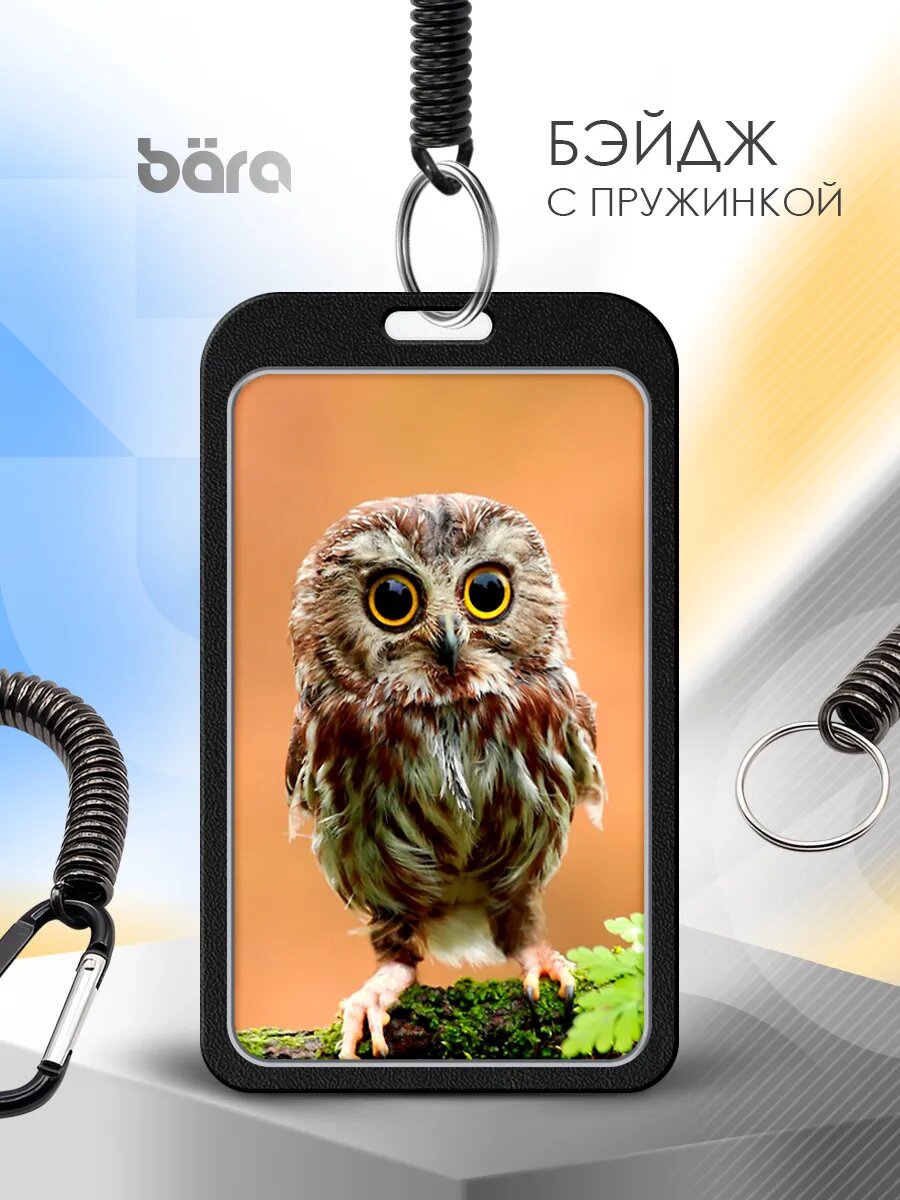 Бейдж на пропуск, вертикальный, металлический, с пружинкой и рисунком