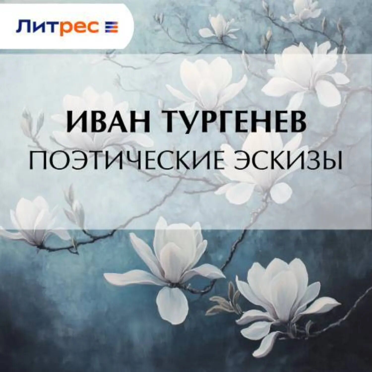 Поэтические эскизы [Аудиокнига]