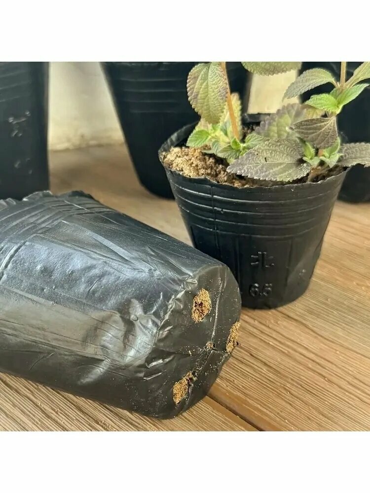 Кассета для рассады, 100 шт, цвет черный, белый