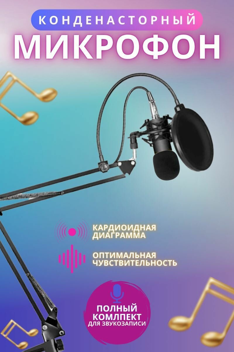 Микрофон студийный, черный