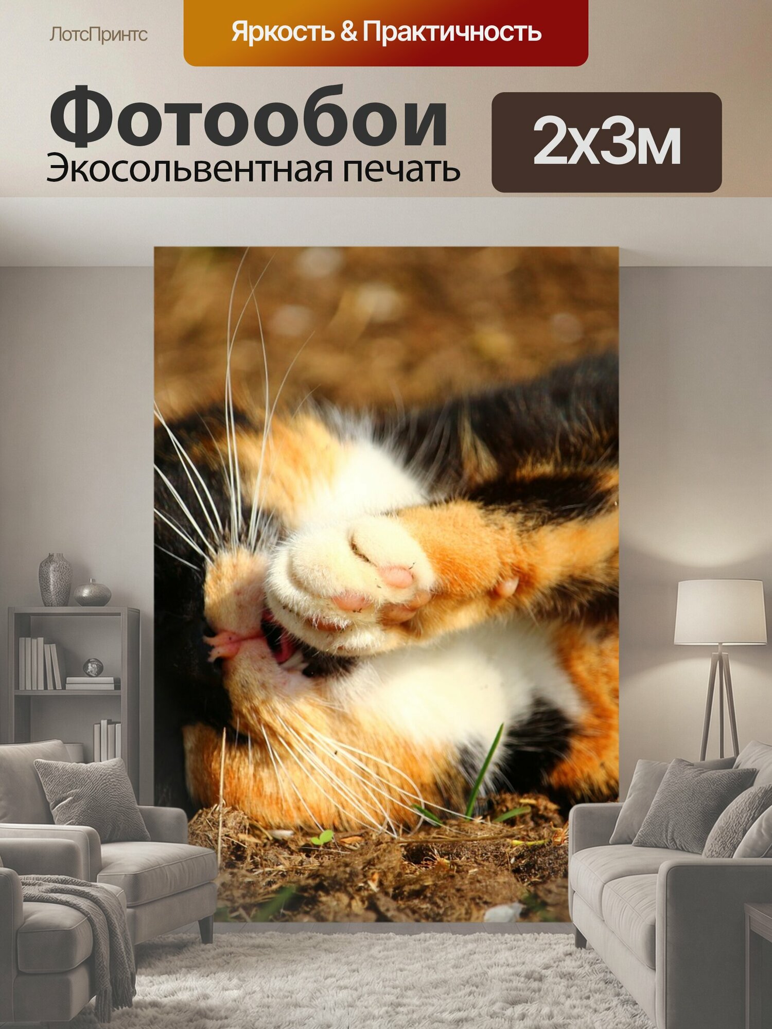 Фотообои "Кот, котенок, lucky cat" 200x300 см. экосольвентная печать