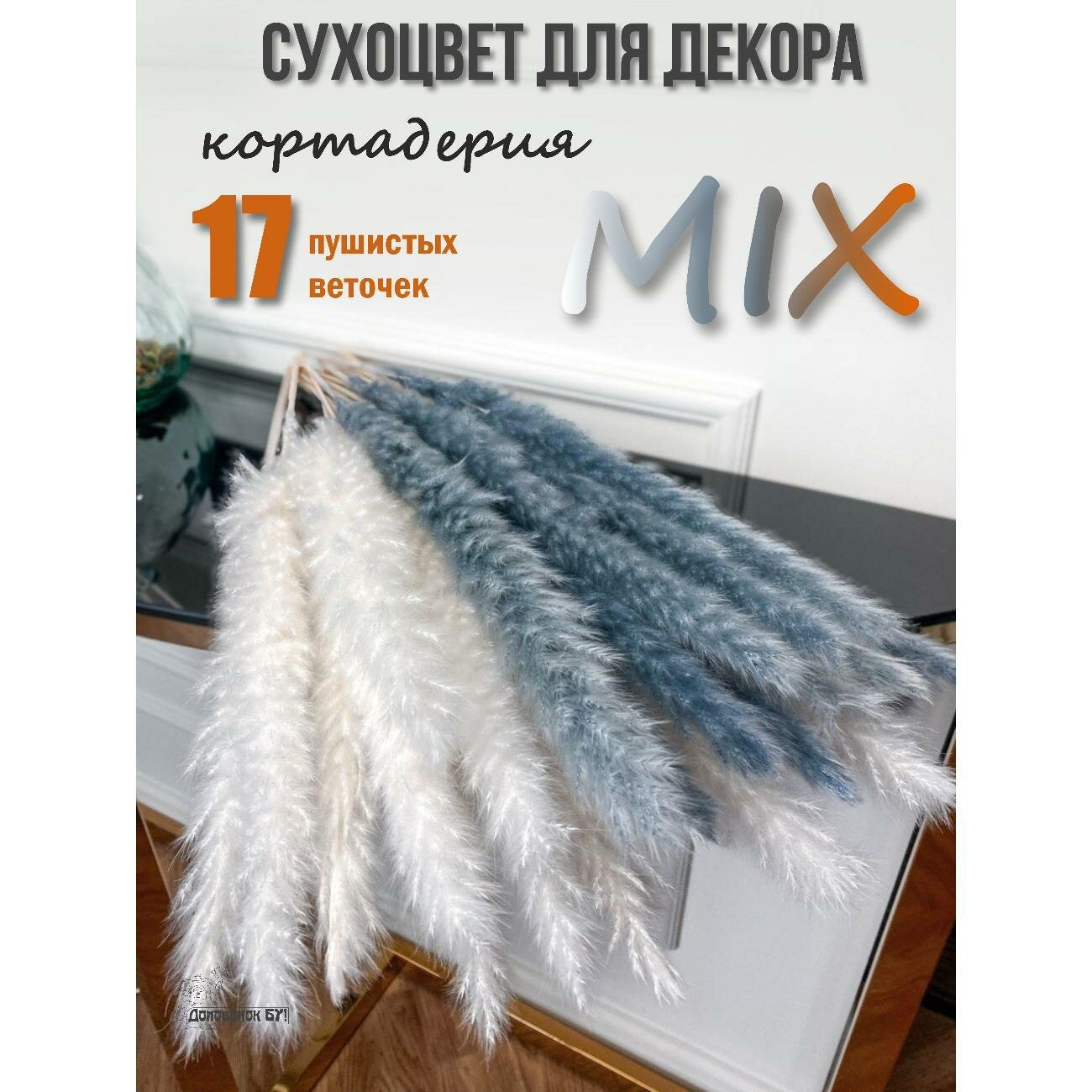 Сухоцвет Домовенок БУ пампасная трава кортадерия мини 50 см