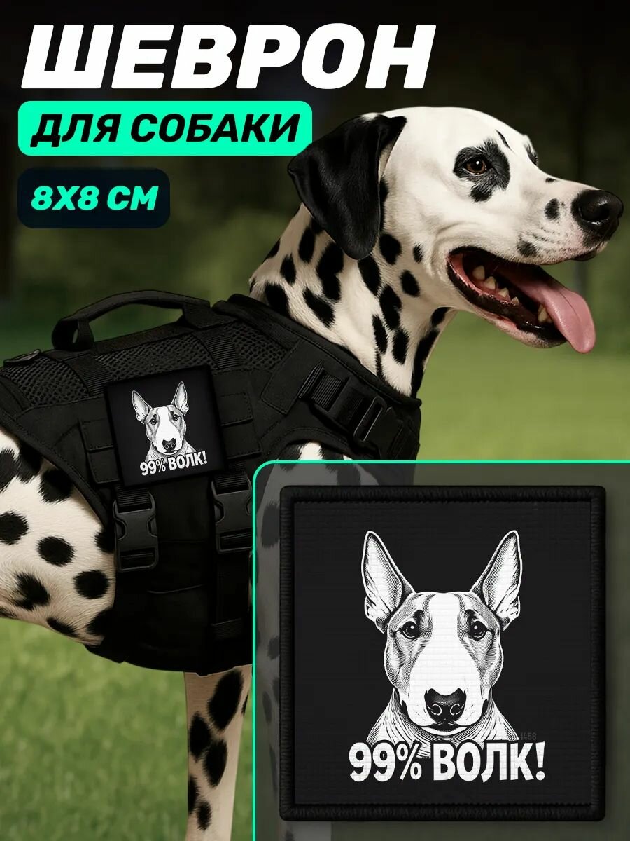 Шеврон на липучке для собаки 99% волк Бультерьер
