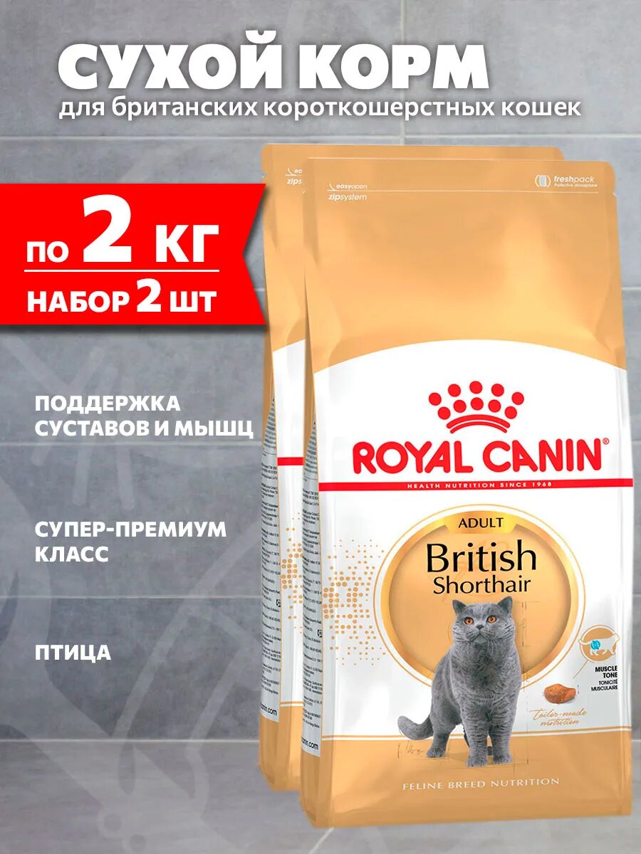 Корм сухой Royal Canin British Shorthair Adult для взрослых британских короткошерстных кошек, 2 кг х 2 шт