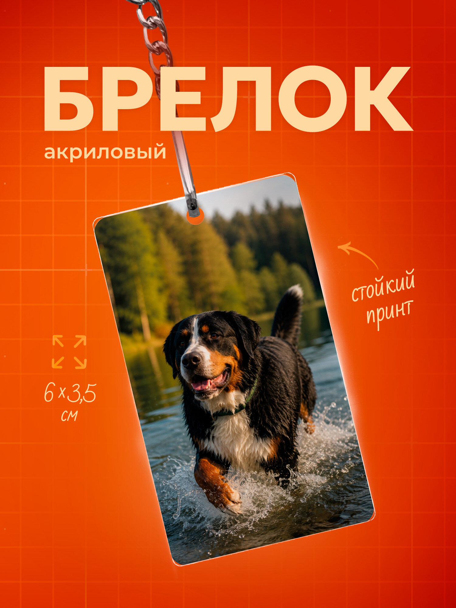 Брелок IREVIVE