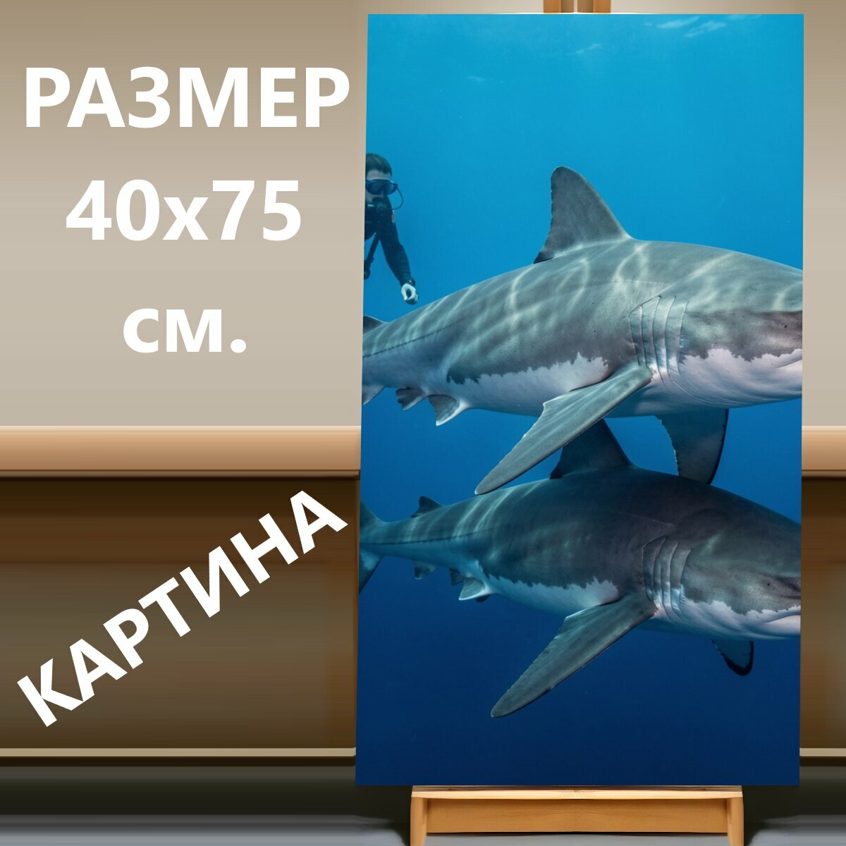 Картина на холсте "Дайвер рядом с акулами. Подводная сцена с аквалангистом и двумя крупными морскими хищниками в прозрачной синей воде." на подрамнике 75х40 см. для интерьера