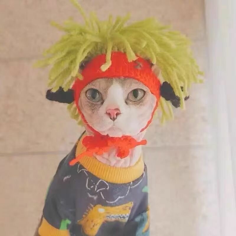 Головной убор для домашних животных шапка для кота кепка для собаки