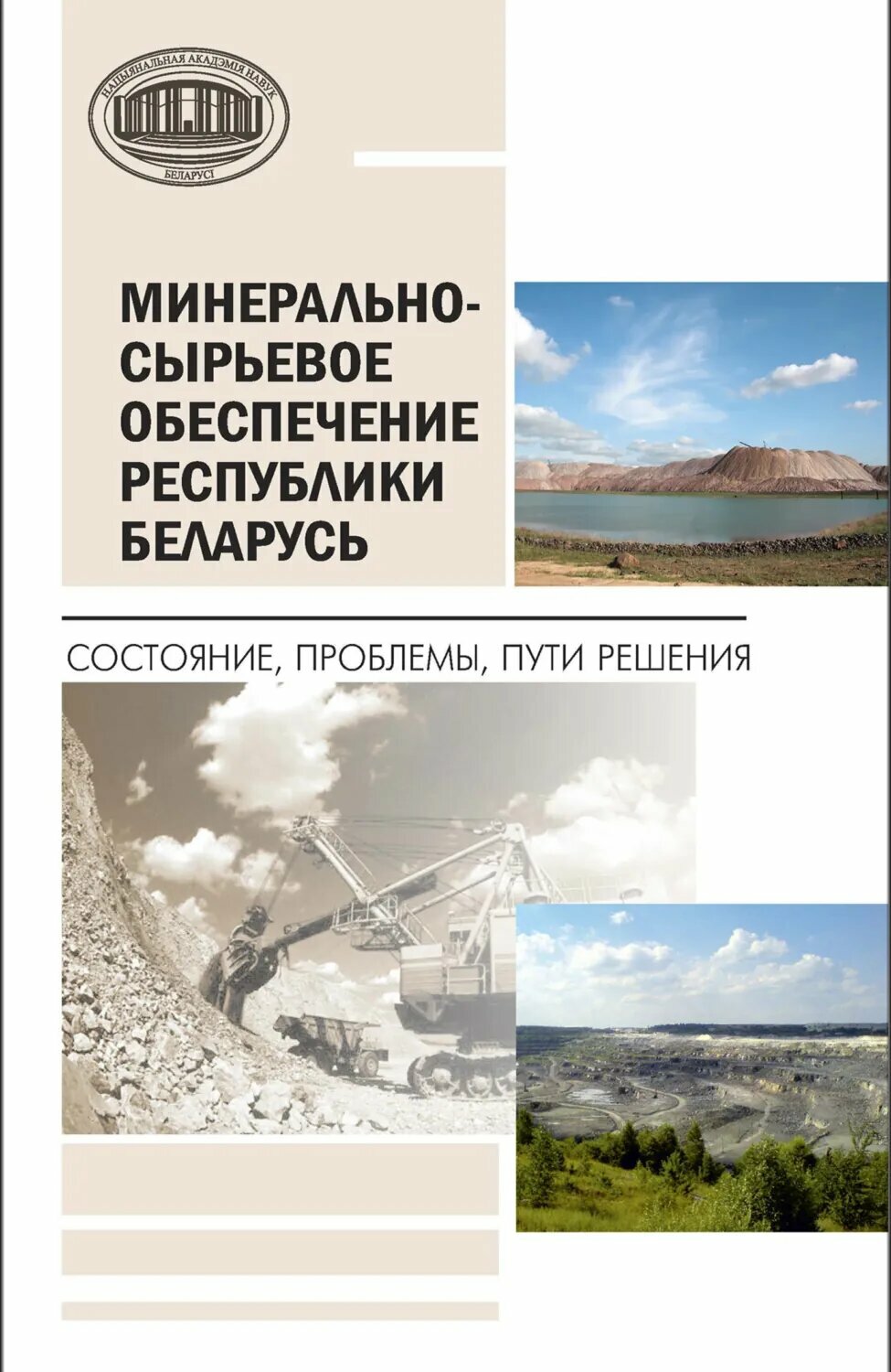 Минерально-сырьевое обеспечение Республики Беларусь. Состояние, проблемы, пути решения [Цифровая книга]