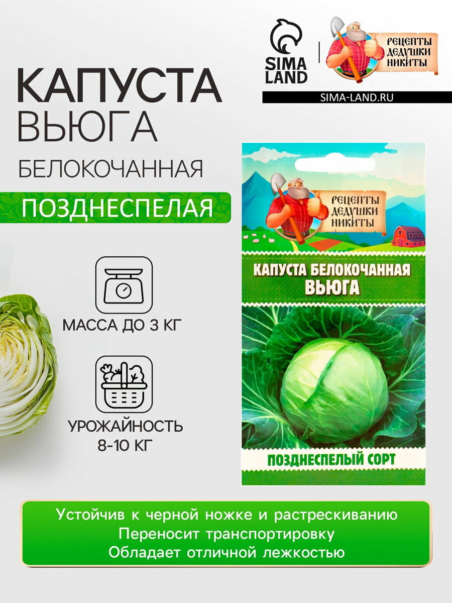 Семена Капуста белокочанной "Вьюга", 0.3 г, позднеспелая, посев на рассаду: апрель