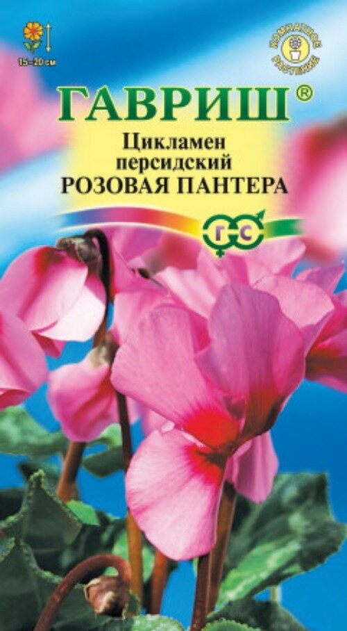 Семена цикламена Гавриш Розовая пантера, многолетний клубневый, 3 шт 002488