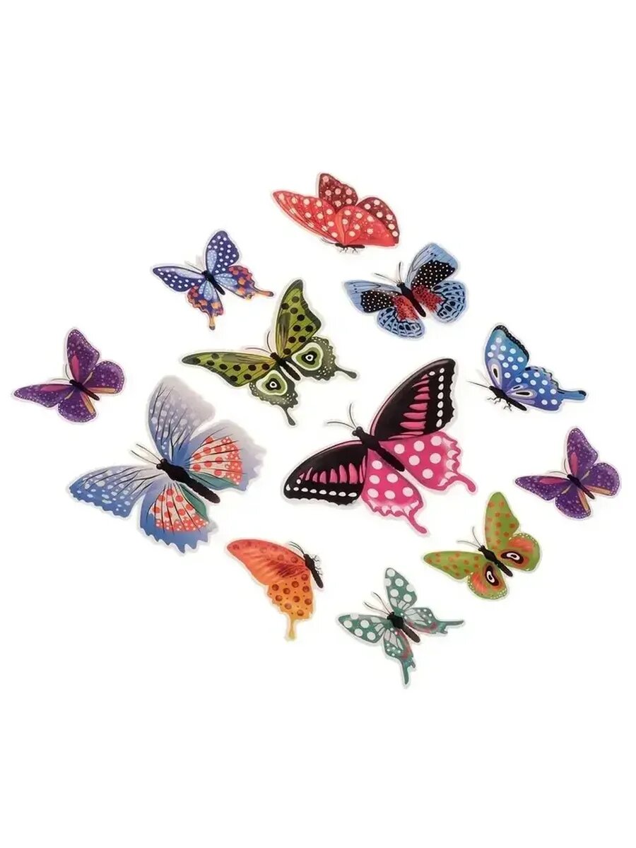 Яркий набор магнитов с изображениями насекомых