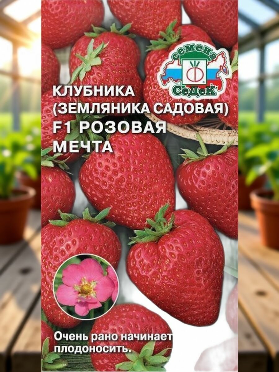 Клубника розовая мечта F1 ультраскороспелая (1 упаковка 0.01 г.) СеДеК
