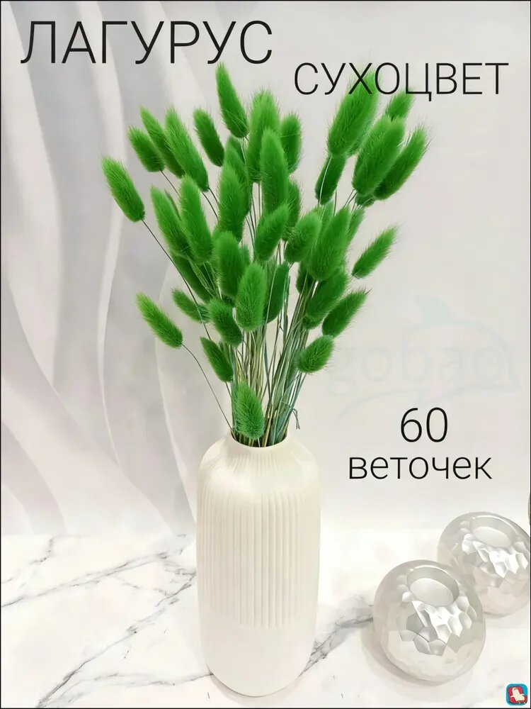 Стабилизированные цветы Лимониум, 100 гр, 1 шт