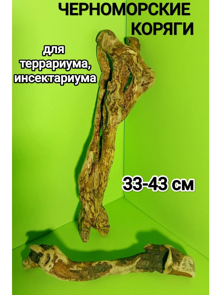 Коряги Черноморские воздушные для террариума, инсектариума