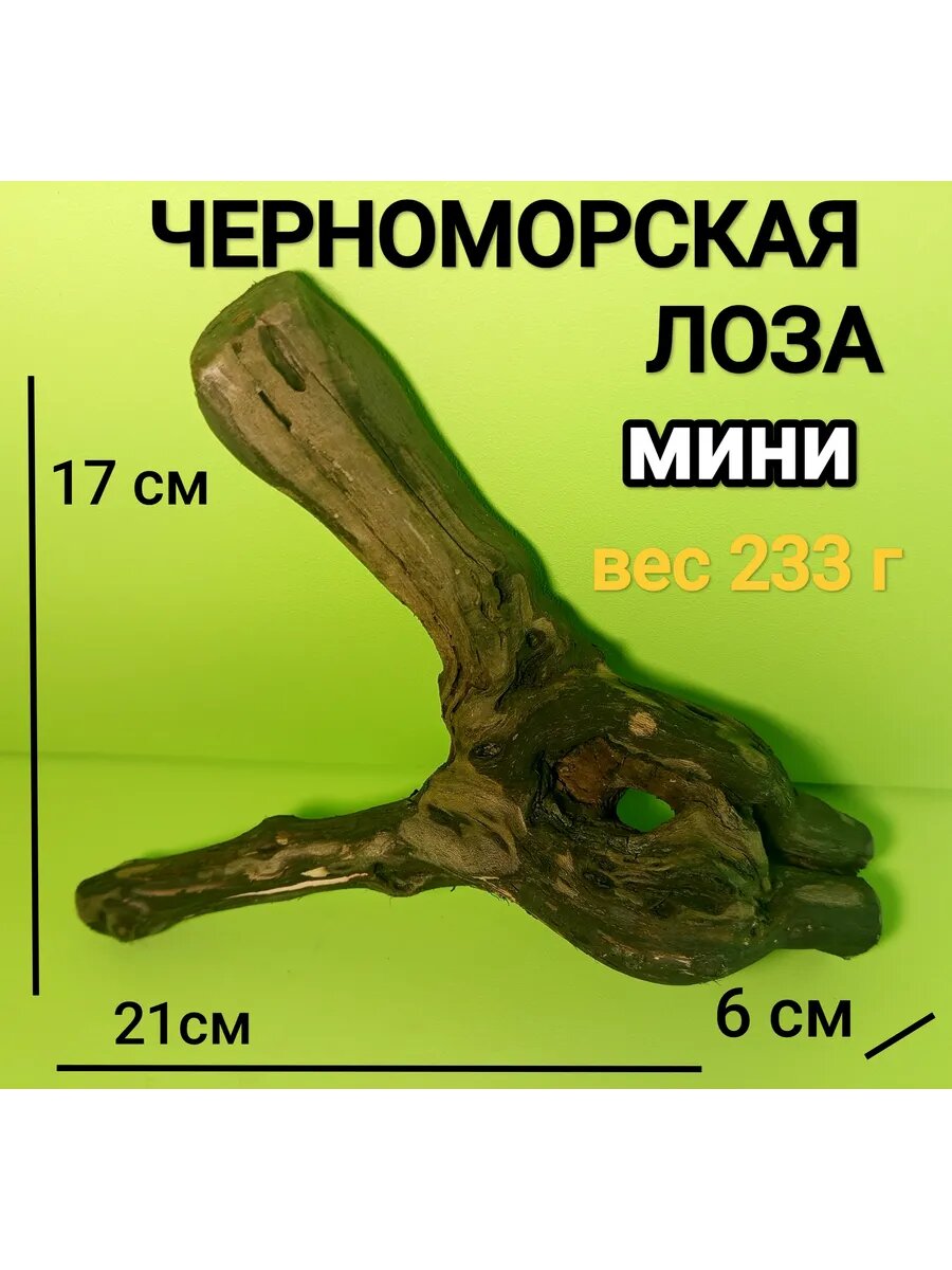 Черноморская виноградная лоза мини для аквариума, террариума