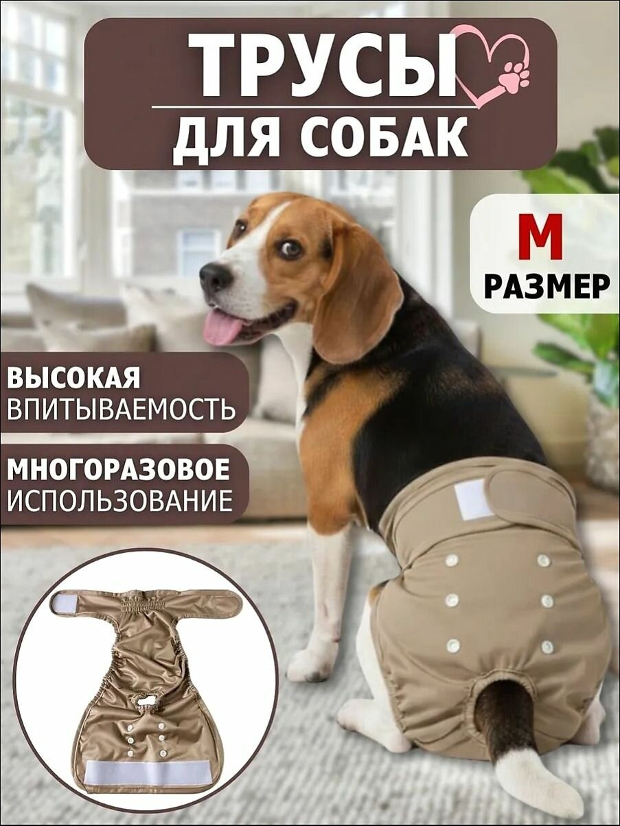 Многоразовые трусы для собак при течке, Размер M, обхват талии 35-60 см
