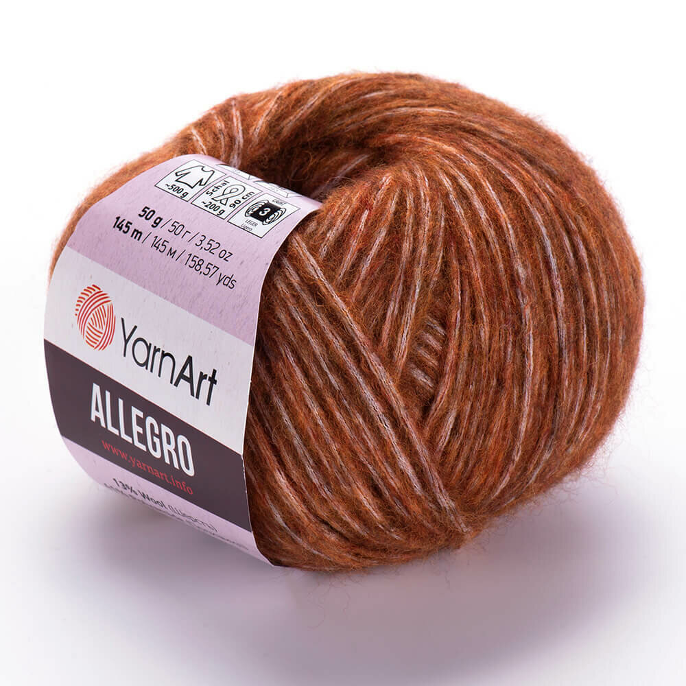 Пряжа YarnArt Allegro 720 (5 мотков по 50г/145м) коричневый