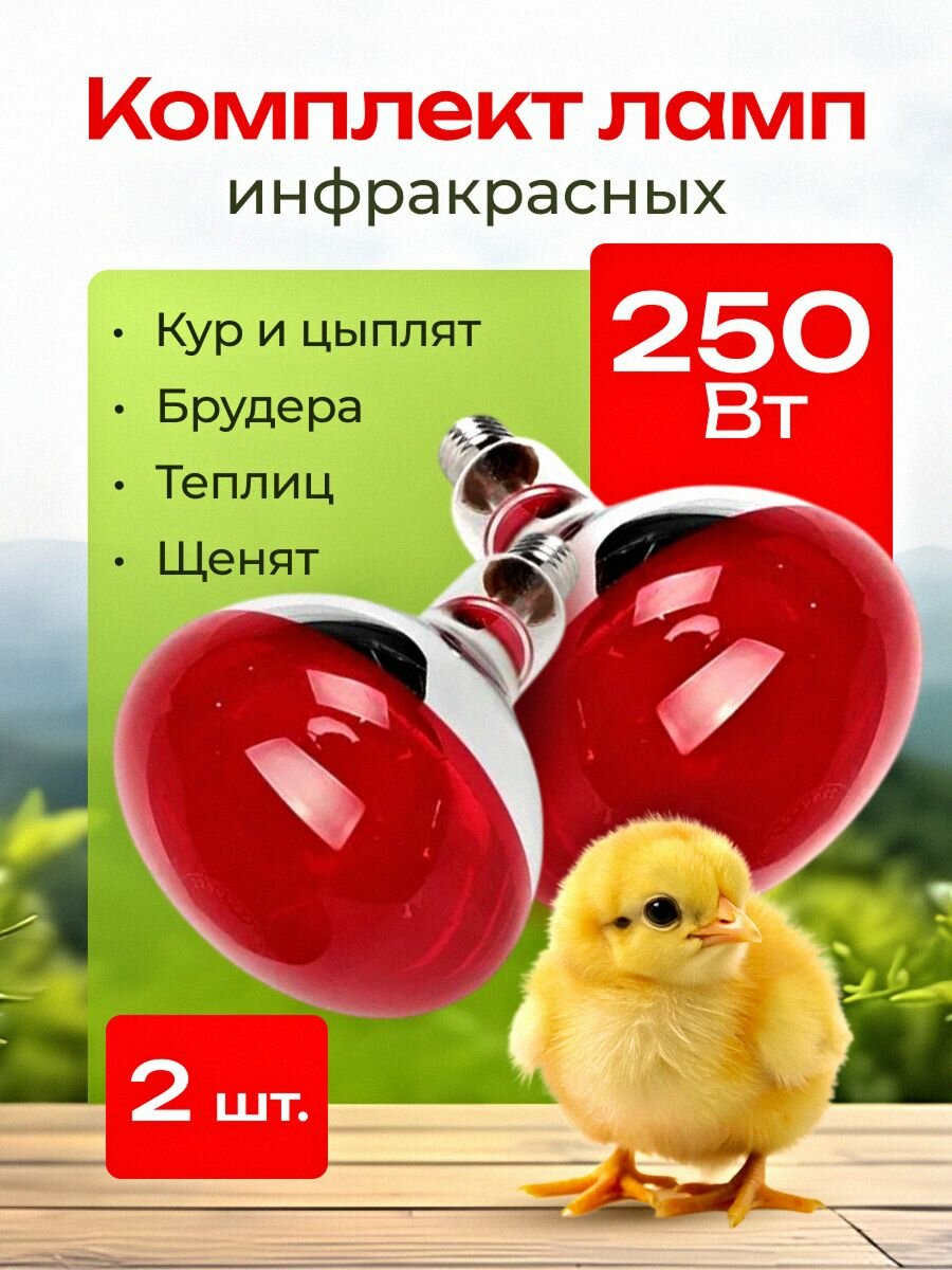 Лампа инфракрасная 250Вт Е27 - 2 шт, для обогрева кур, щенков, цыплят, свиней, курятника, брудера/ Лампочка галогенная для животных, растений и теплиц