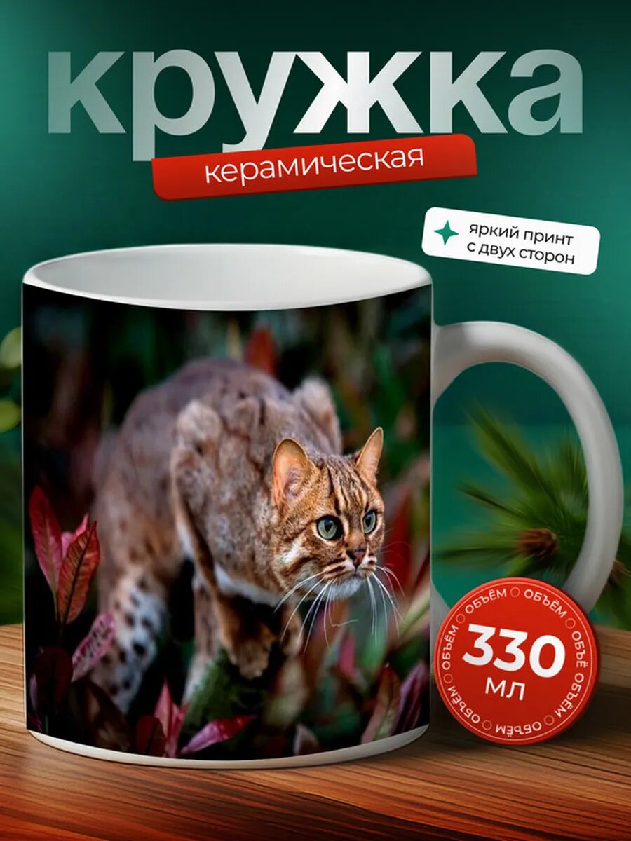 Кружка Закавказский тигровый кот 20,