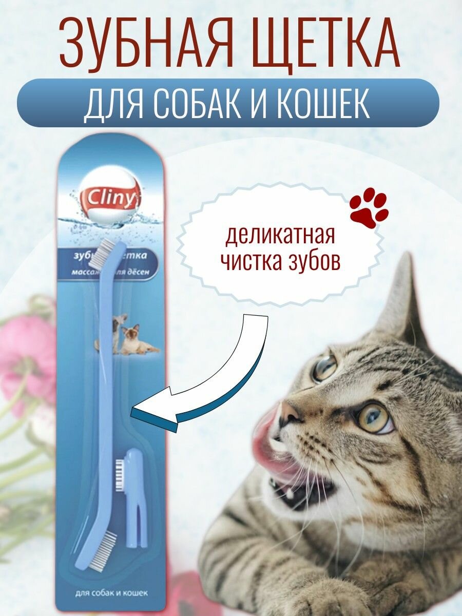 Зубная щетка для собак экопром Cliny плюс массажер для десен, 1 шт. Экопром клини