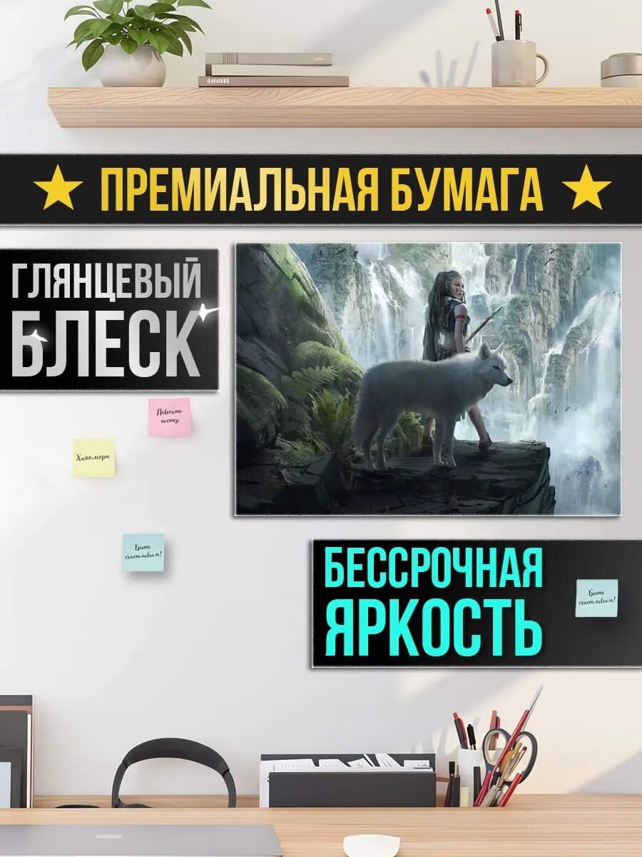 Плакат постер Девушка белый волк — фото 1