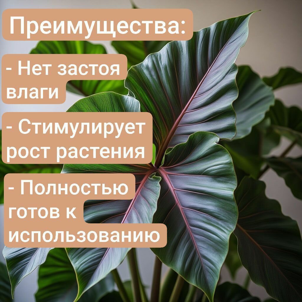 Грунт для Стрелиции, 1 литр универсальный грунт 1 литр грунта — фото 1
