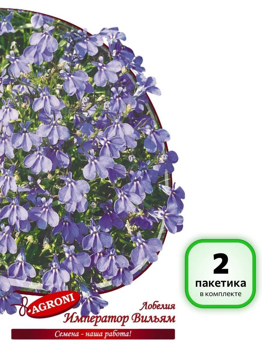 (2 шт.) - Семена Лобелия Император Вильям (0,1г)
