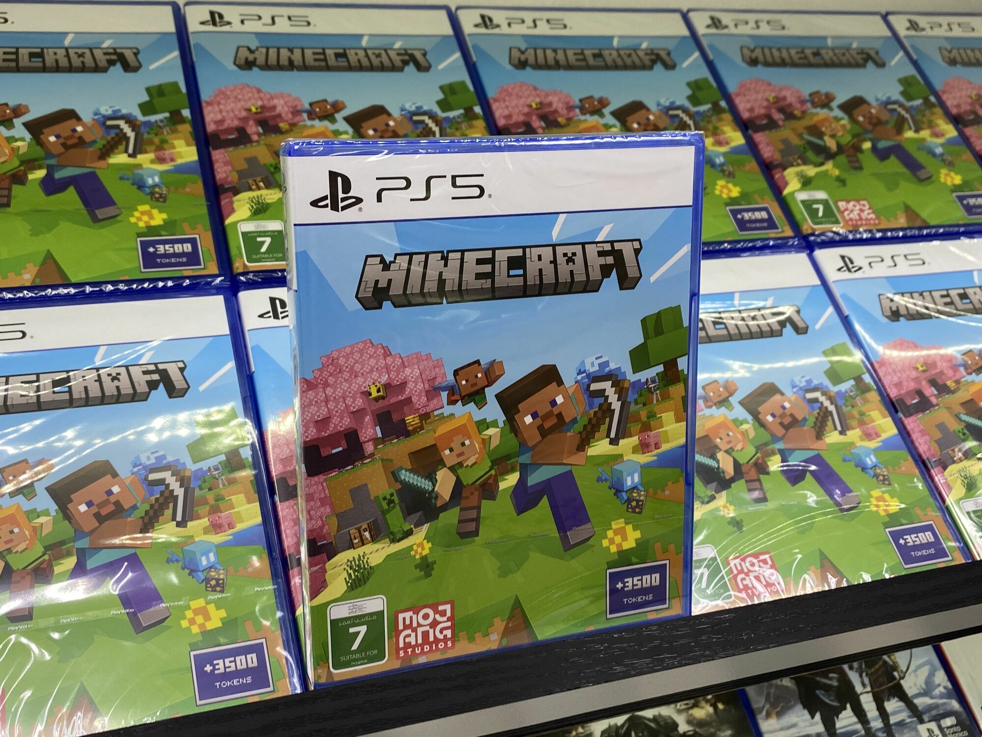 Диск Minecraft Русские субтитры — фото 1