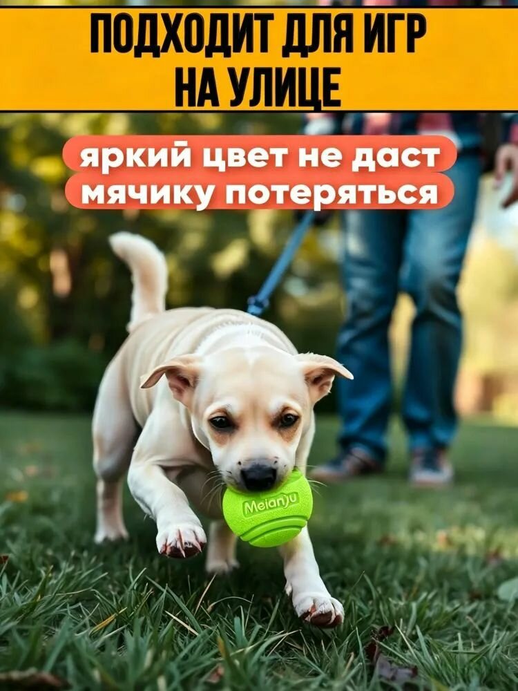 Мячик для собак 5 см / XPAWS / суперпрочный мяч для мелких пород и средних / игрушка для собаки