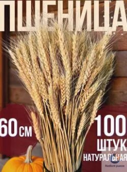 Сухоцветы Пшеница, 60 см, 90 гр, 100 шт