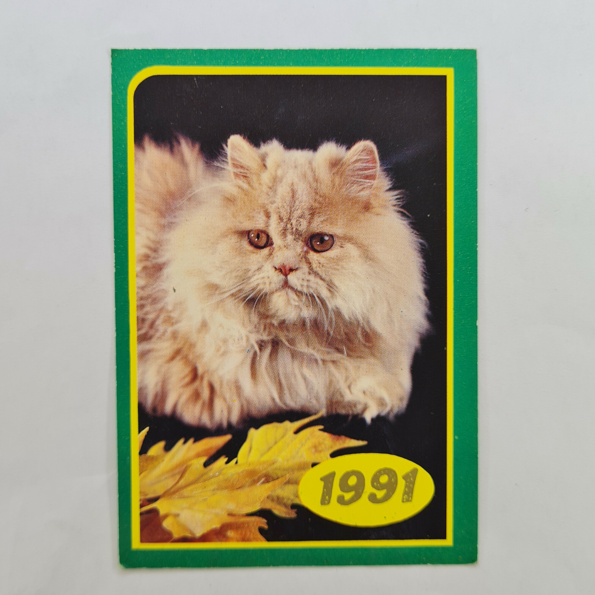 Карманный календарик 1991. Пушистый кот, домашние животные. Календарь винтажный Москва фото Н. Дейки