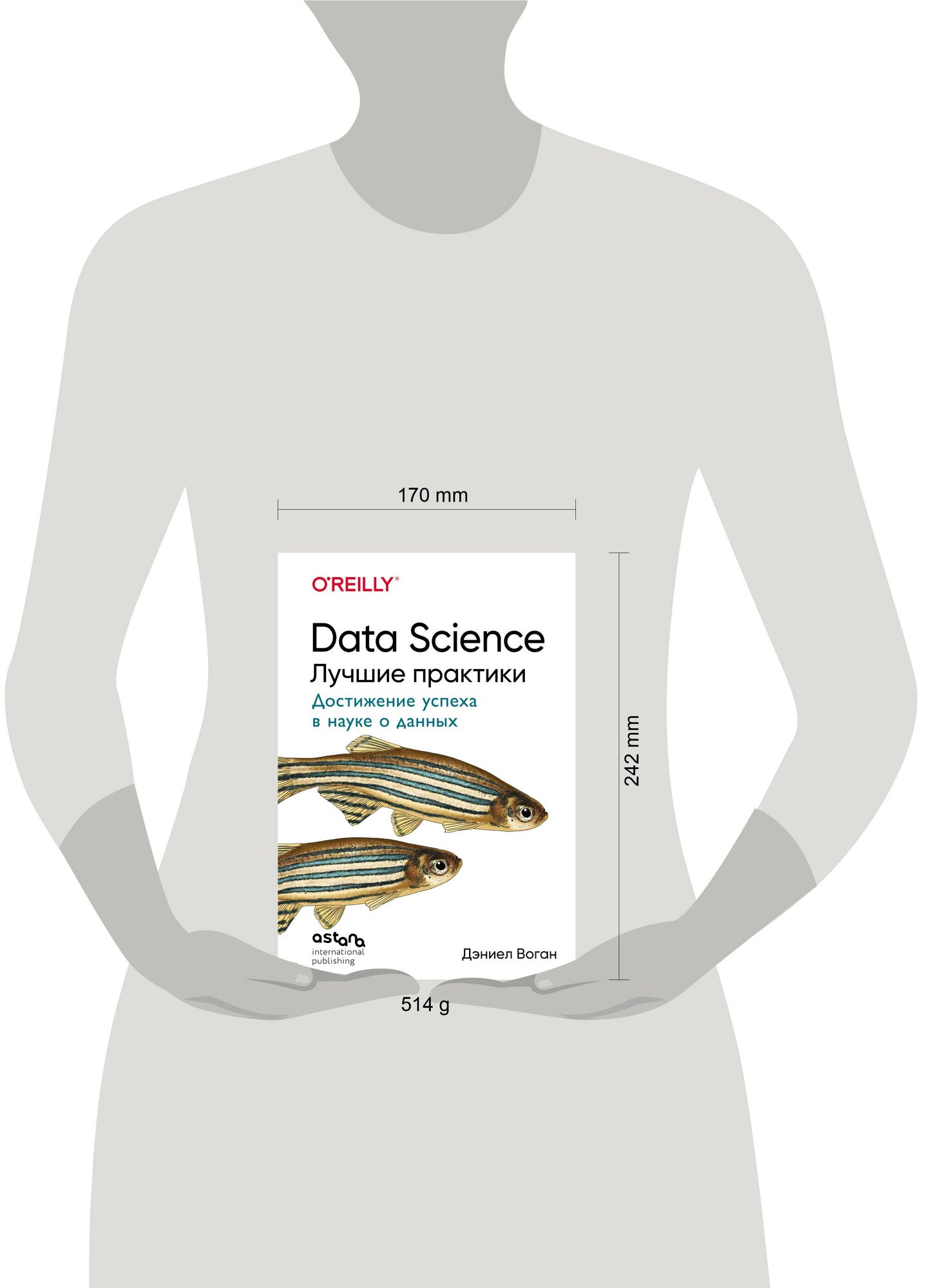 Data Science. Лучшие практики — фото 1
