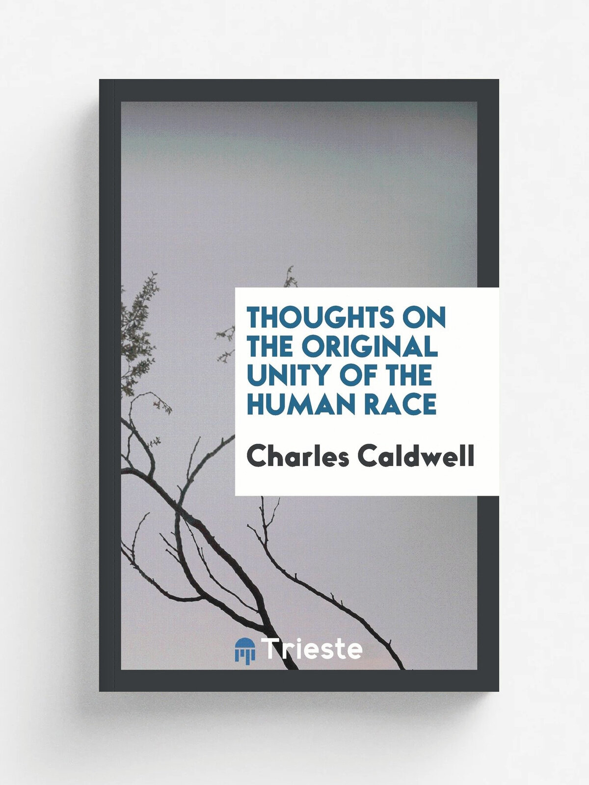 Thoughts on the Original Unity of the Human Race