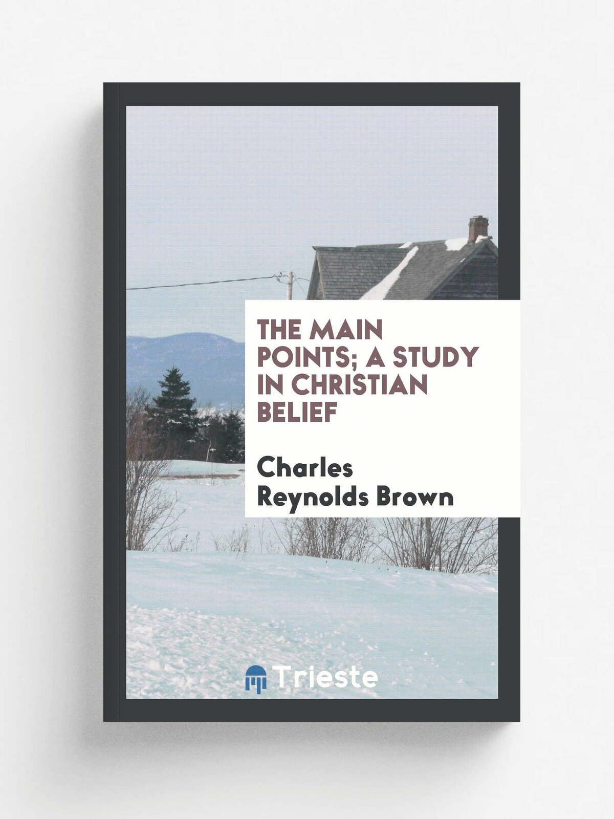 The main points; a study in Christian belief