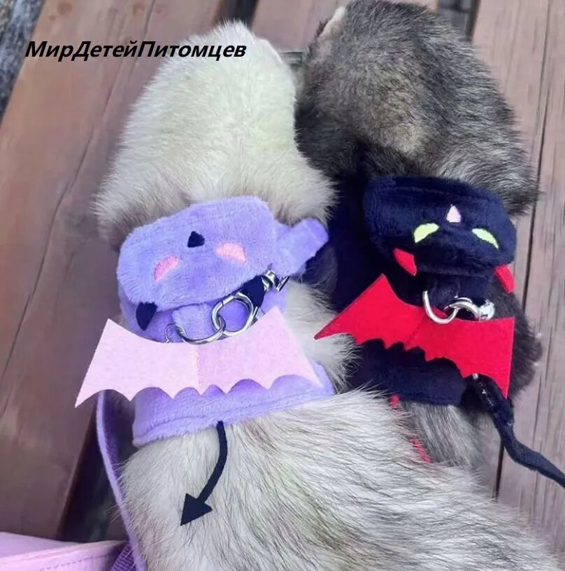 Маленькая домашняя летучая мышь, нагрудный ремень, набор тяговых веревок
