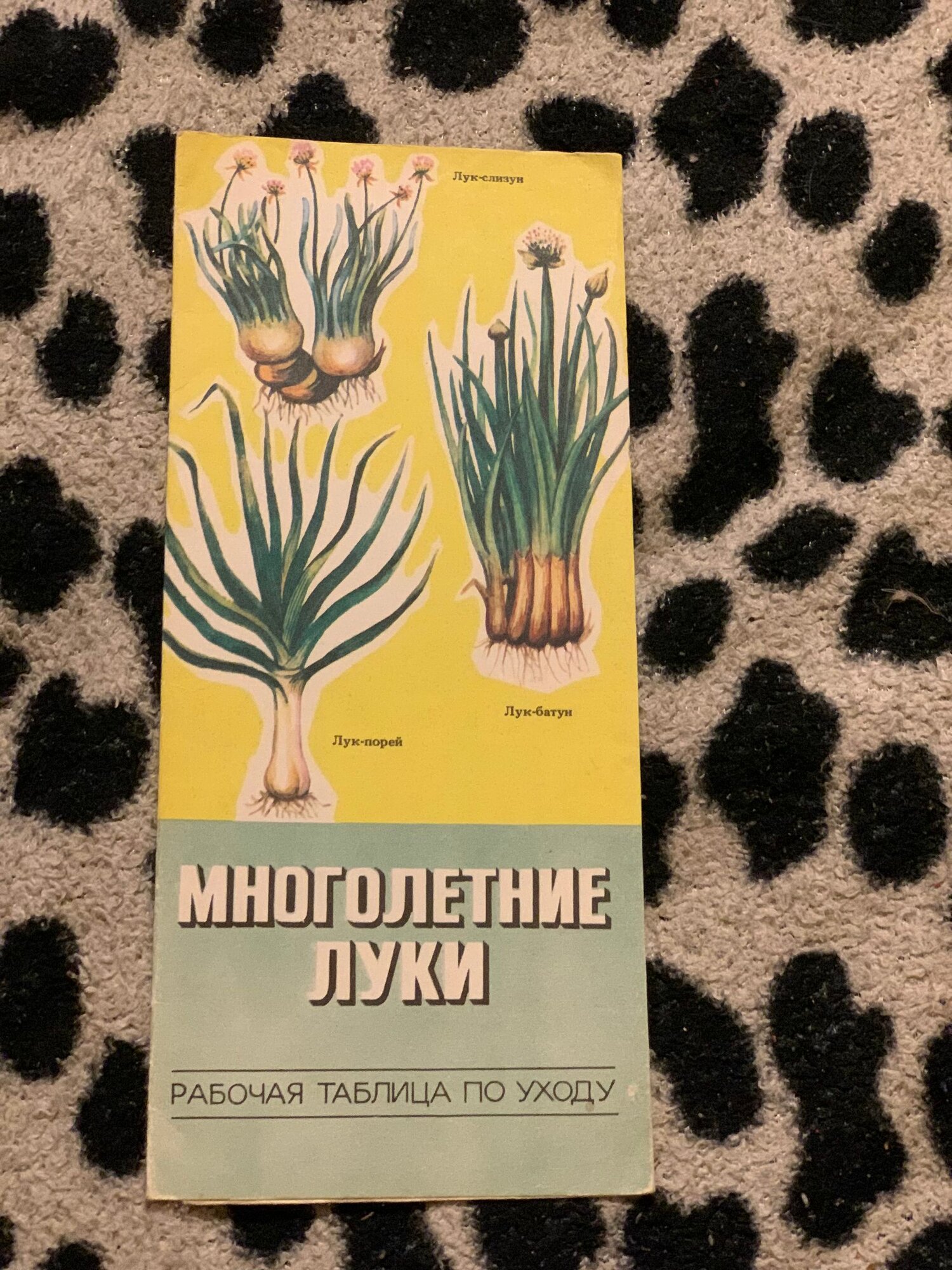 Многолетние луки, Рабочая таблица по уходу