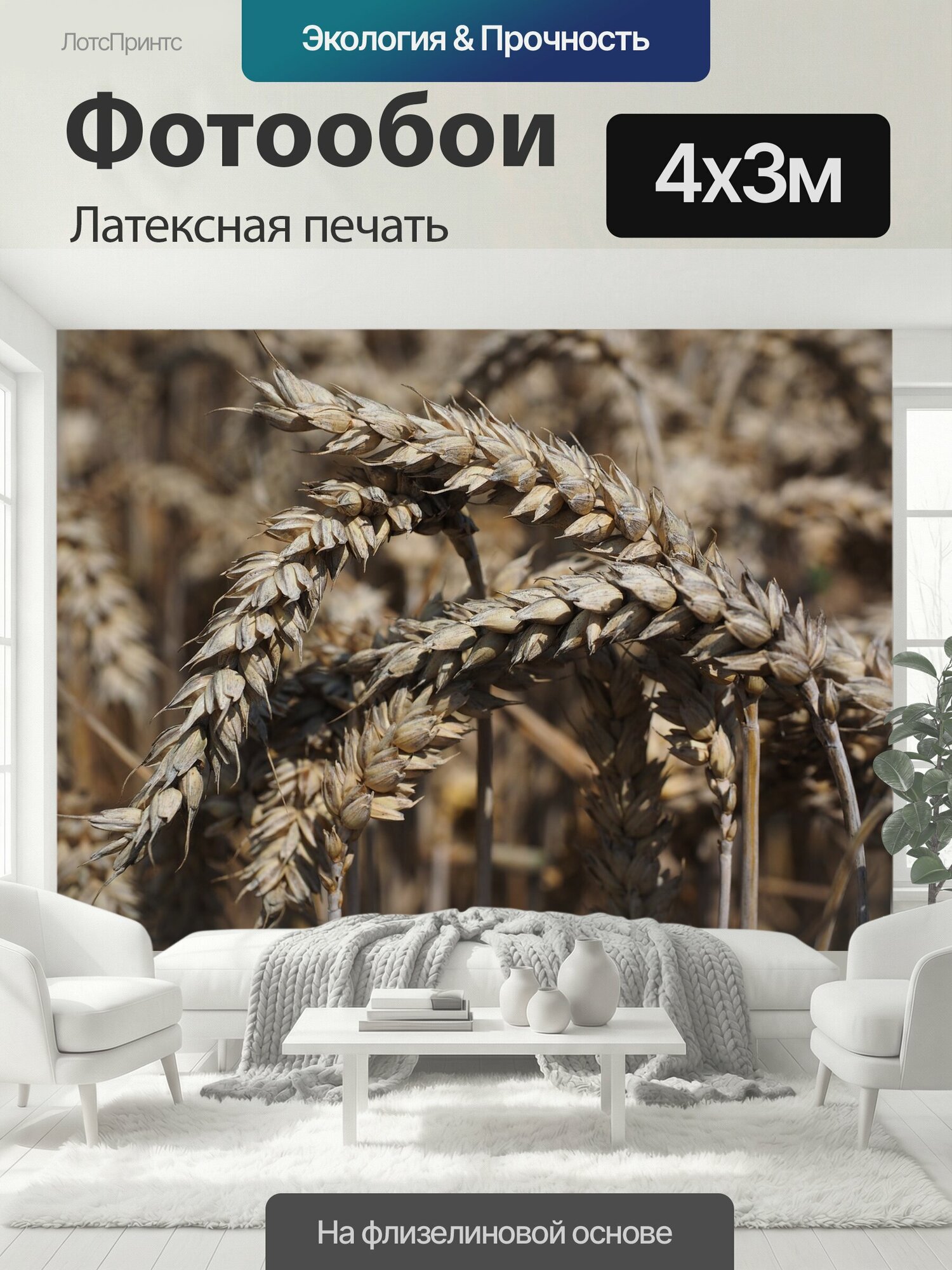 Фотообои моющиеся ударопрочные "Пшеничный колос, пшеница, шип" 400x300 см. латексная печать