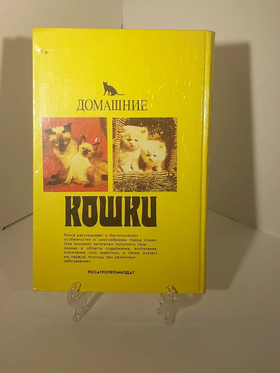 Домашние кошки — фото 1