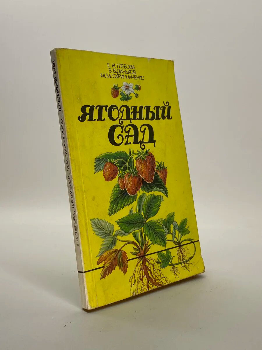 Глебова Е. И. Ягодный сад